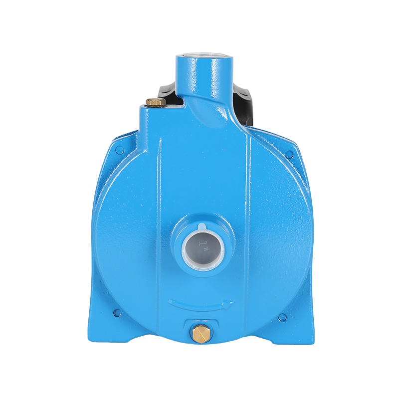 CPM Centrifugal Pump - Fujian Elestar Water Pumps - Your Trusted ...